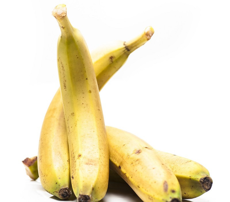 Científicos estudian nuevas variedades de banano resistentes a ...