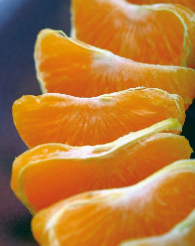 Comienzan envíos de mandarina chilena W. Murcott » FyH Revista