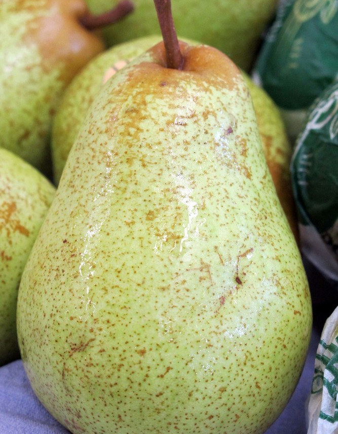 Los exportadores de pera Rocha quieren llegar a los 100 millones de ...