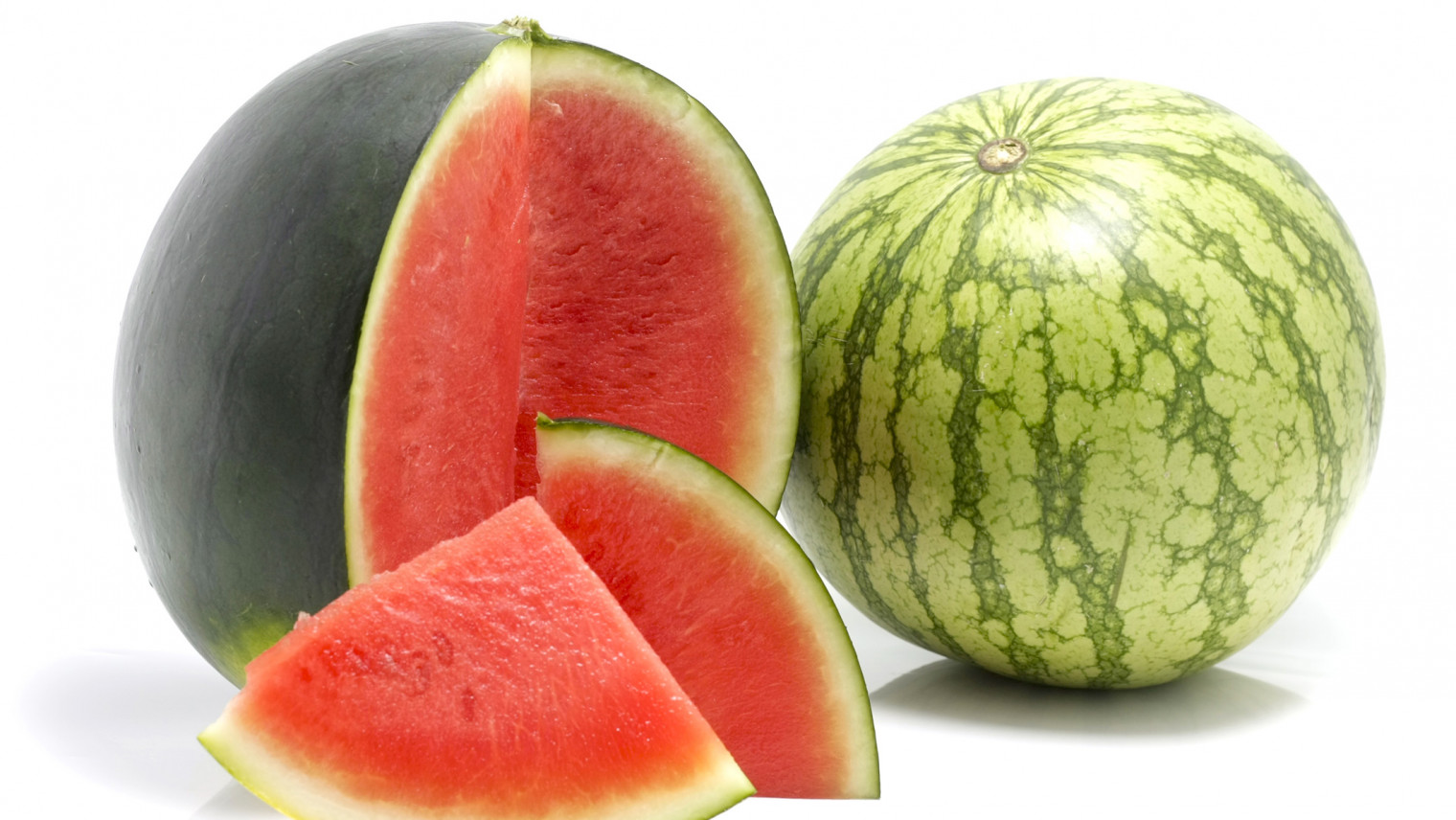 Alemania empieza a producir sandías de la mano de Hazera » FyH Revista