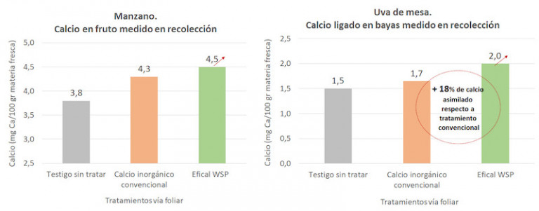 EFICAL WSP, de Daymsa, para asegurar mayor firmeza y calidad ...