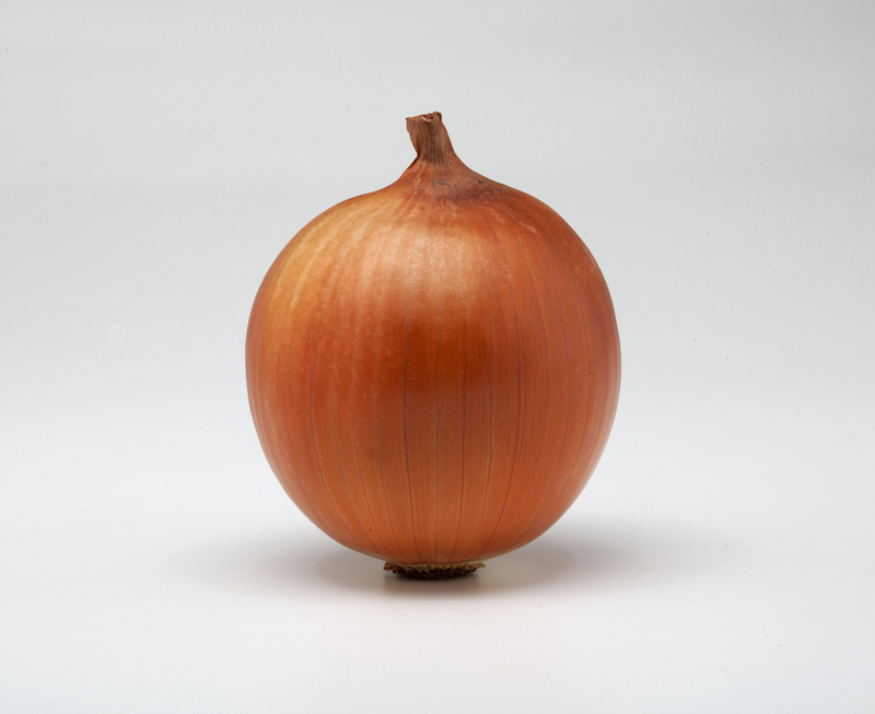 BASF amplía el ciclo de cebolla de día largo con Campero » FyH Revista