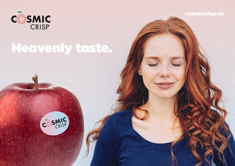 Cosmic Crisp®, la manzana de sabor celestial, desembarca en el mercado ...
