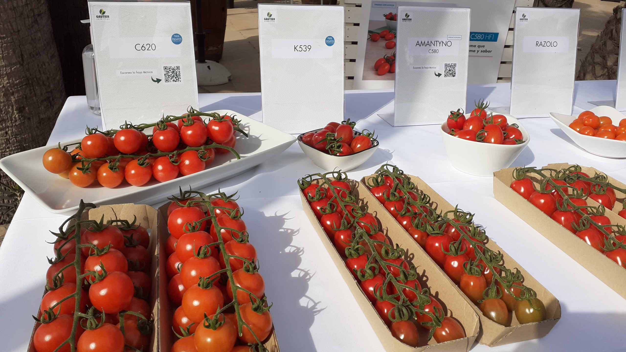 Gautier muestra su amplio portfolio de tomate » FyH Revista