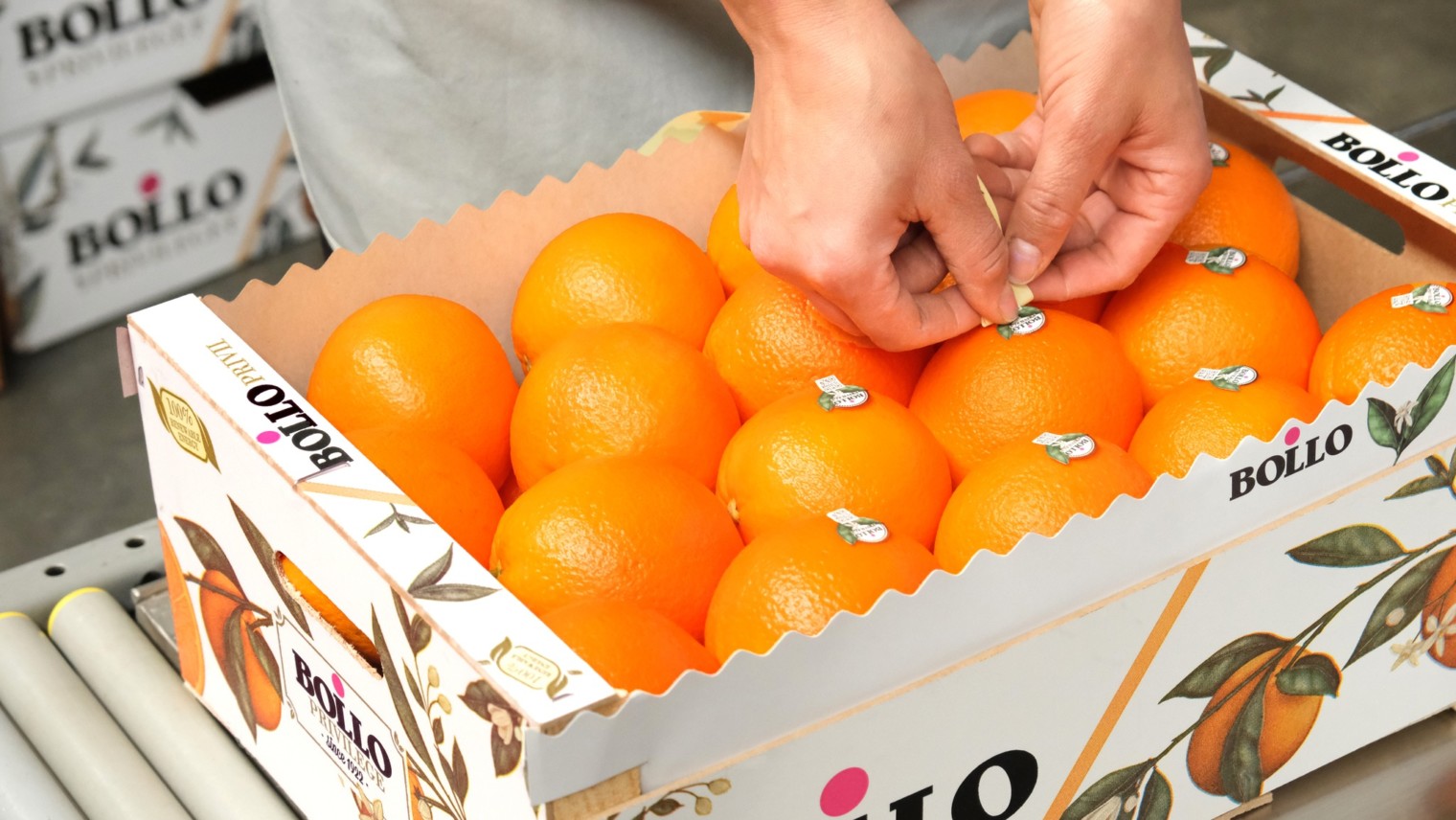 Bollo International Fruits y The Natural Fruit Company caminarán juntas ...