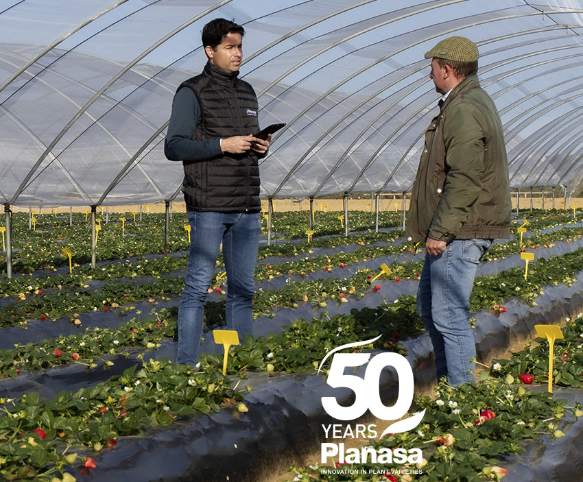 Planasa cumple 50 años superando los 70 millones de EBITDA » FyH Revista